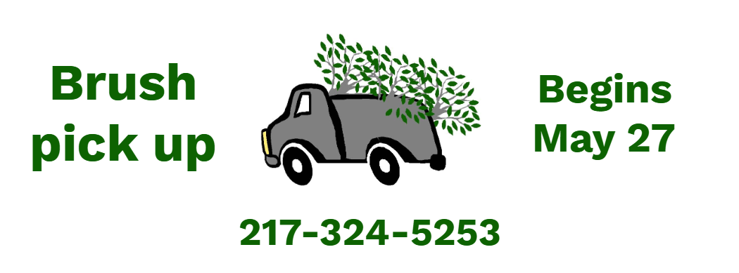 Brush Pick Up - The City of Litchfield